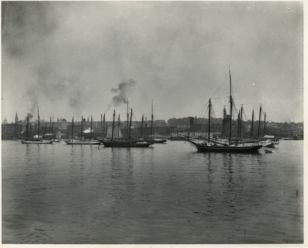 98-002 (click for large image)